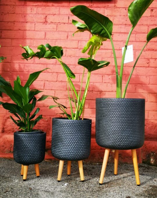 Pots on Legs – LnJ Garden